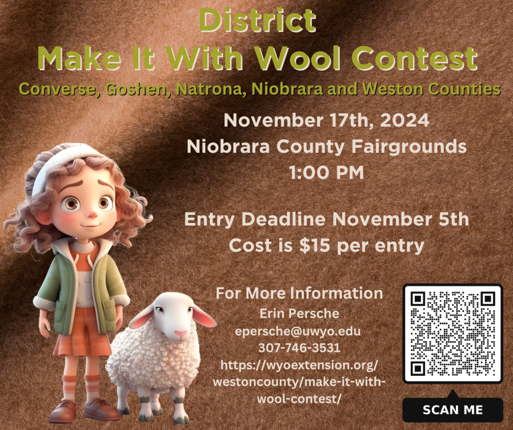 Make It With Wool Contest – Weston County